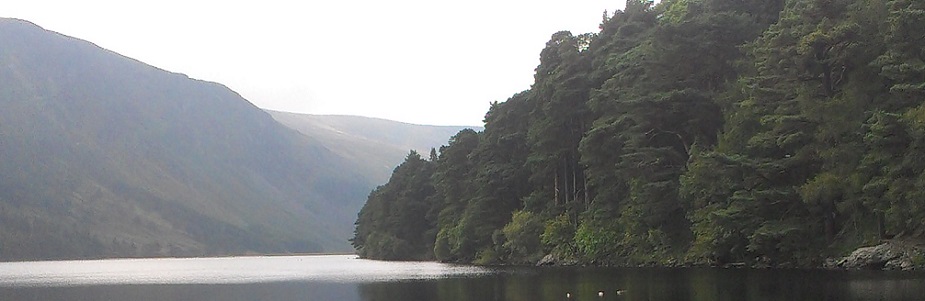 Header 5 (Lake) – The Green Stars Project