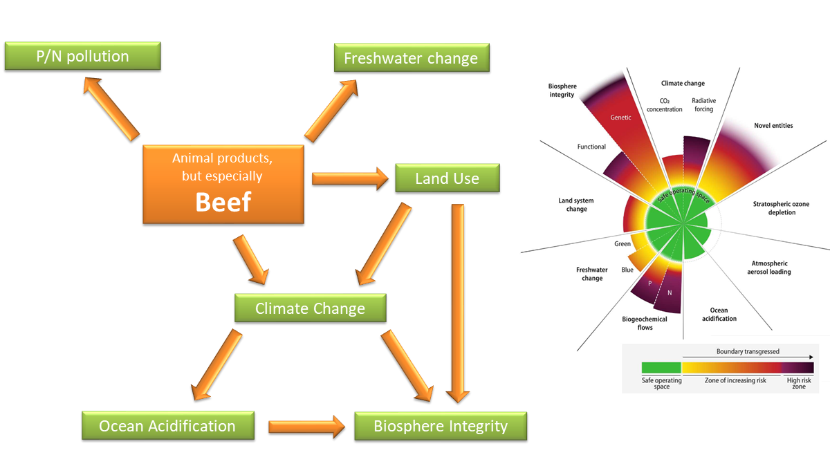 Earth is beyond 6 of 9 planetary boundaries. (Wait, what?) – The Green ...
